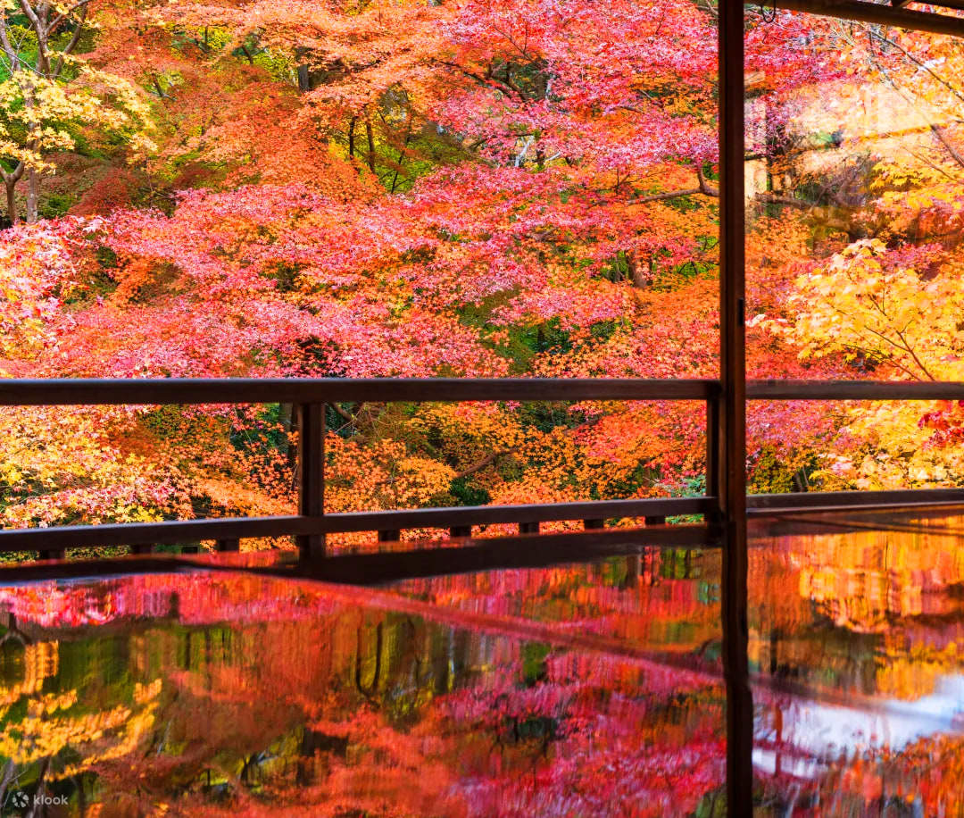 [Limited Summer] Kyoto Relaxation Day Trip | Kifune Shrine Visit ...